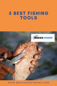 5 Best Fishing Tools For Everyday Use In 2022