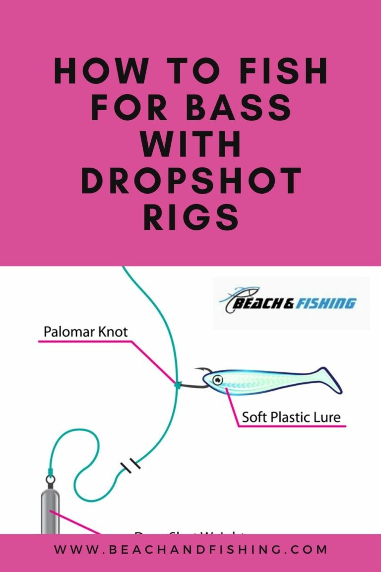 How To Fish For Bass With Drop Shot Rigs