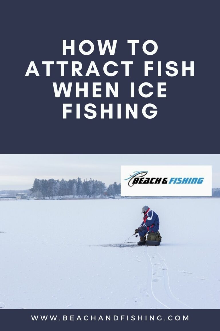 How To Attract Fish When Ice Fishing In 2024