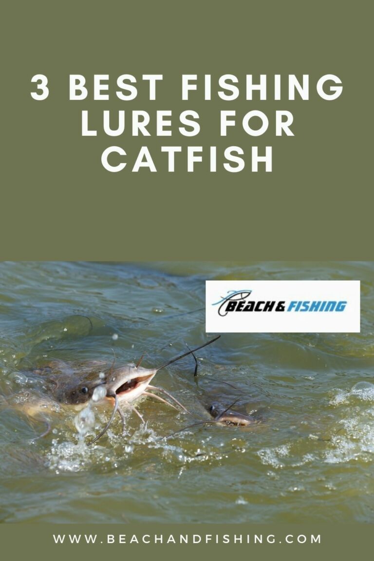 3 Best Fishing Lures For Catfish In 2026