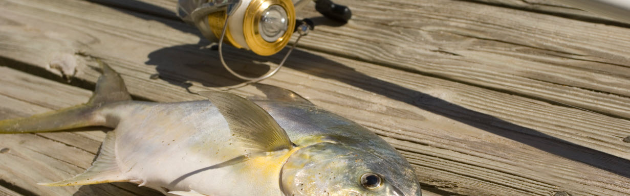 5 Tips For Catching Pompano In 2024