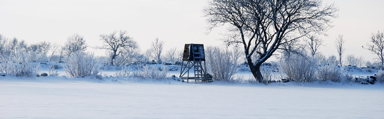5 Tips For Winter Hunting In 2026