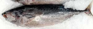 Can You Eat Skipjack Tuna?