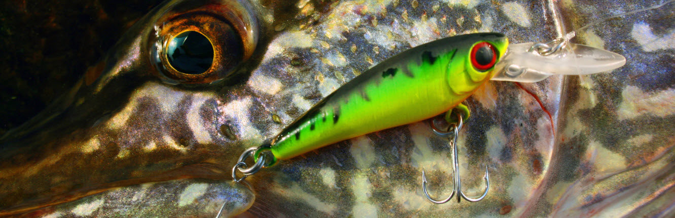 5 Tips For Catching Northern Pike In 2026