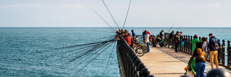 3 Best Fishing Carts For Pier Fishing In 2025