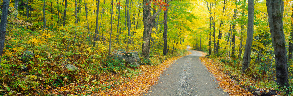10 Best Campsites In Connecticut