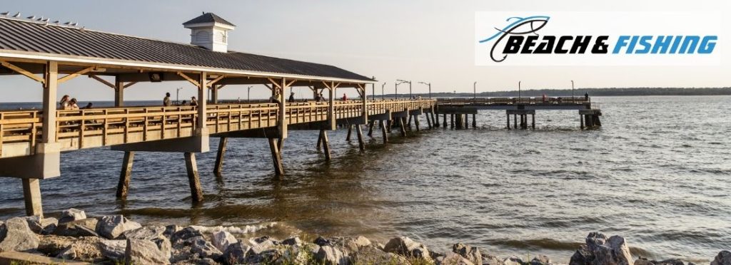Surf Fishing Georgia: Your Ultimate Guide to Coastal Success | Beach ...