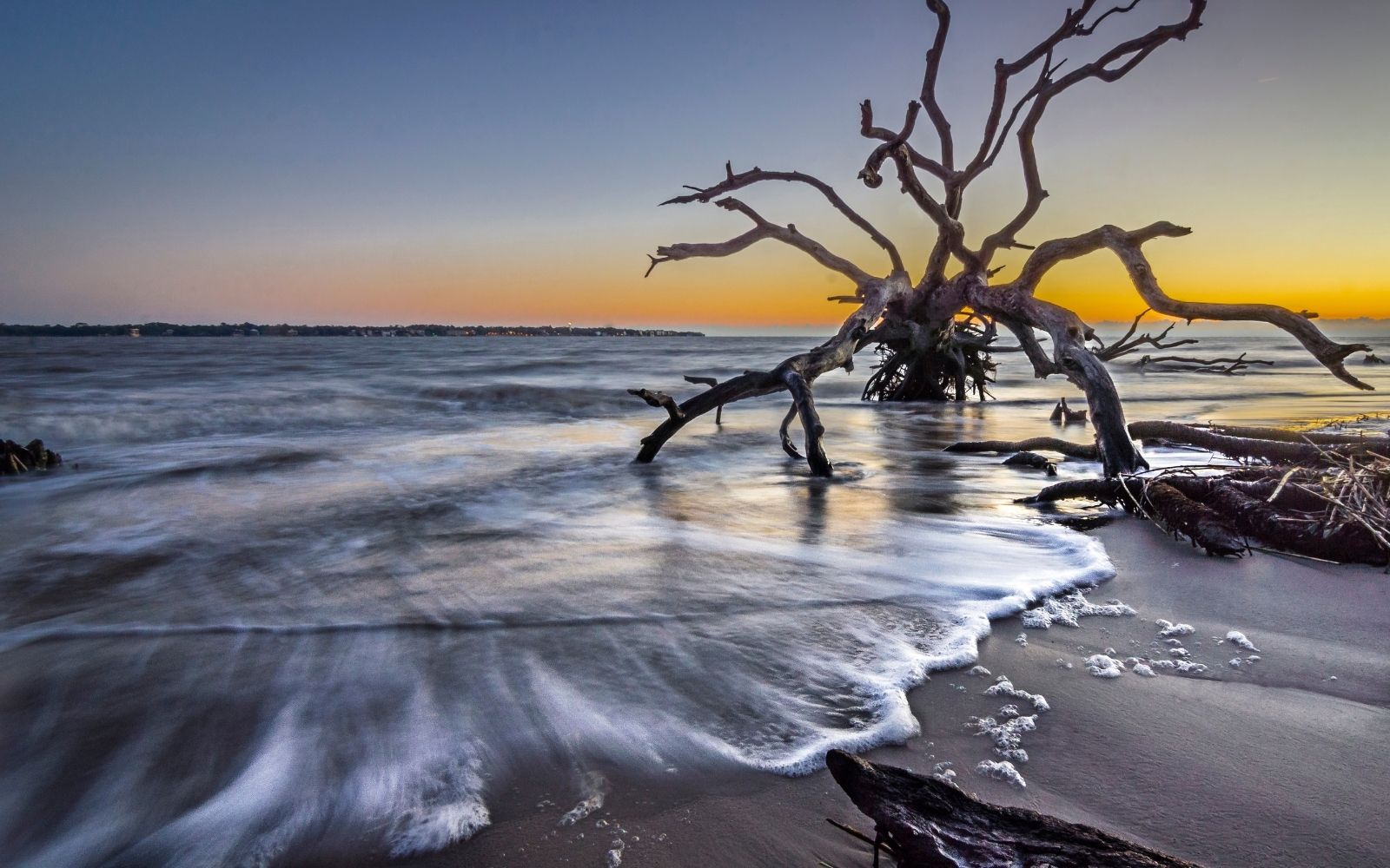 Surf Fishing Georgia: Your Ultimate Guide to Coastal Success | Beach ...