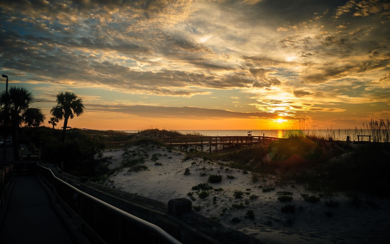 Surf Fishing Georgia: Your Ultimate Guide to Coastal Success | Beach ...