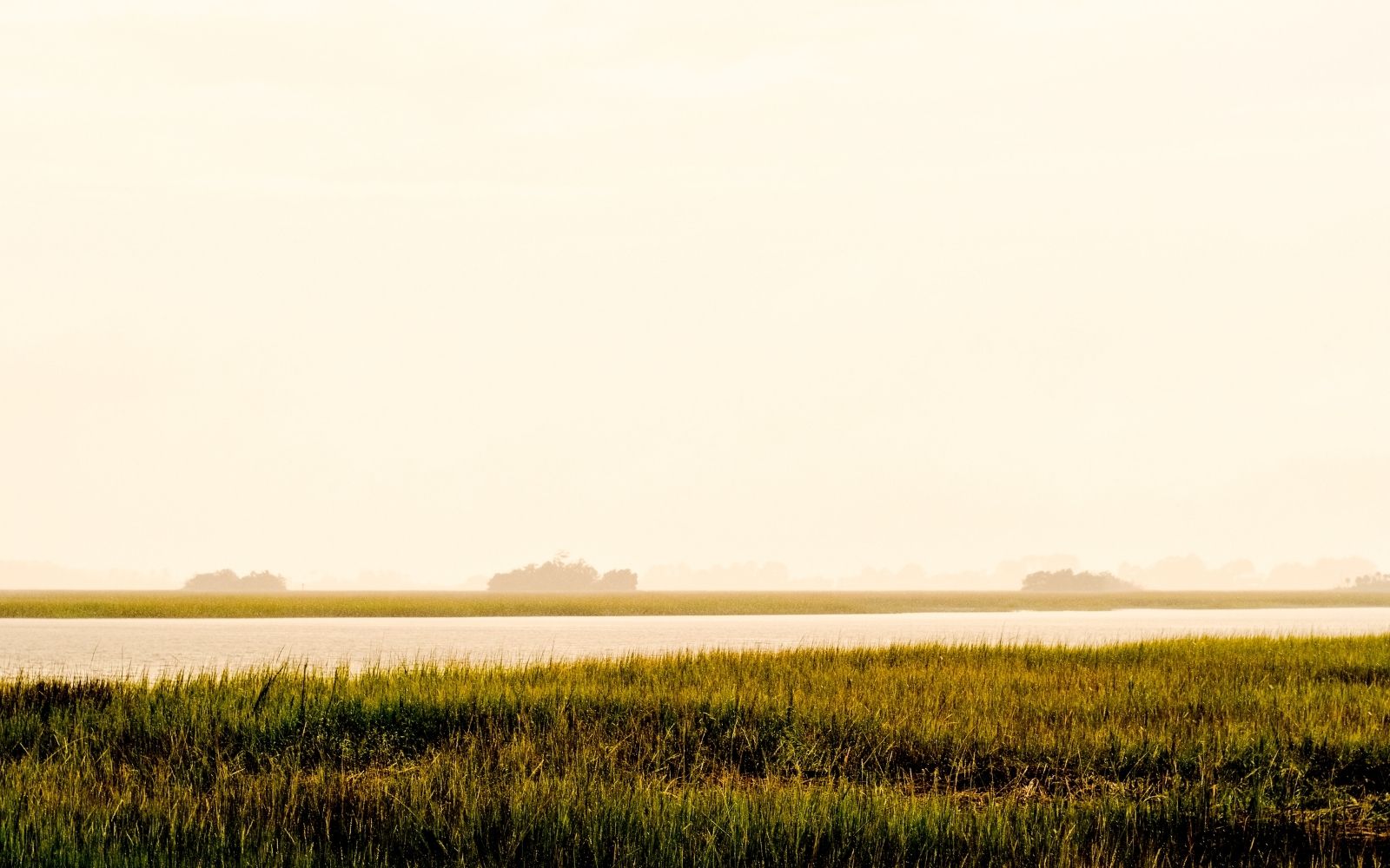 Surf Fishing Georgia: Your Ultimate Guide to Coastal Success | Beach ...